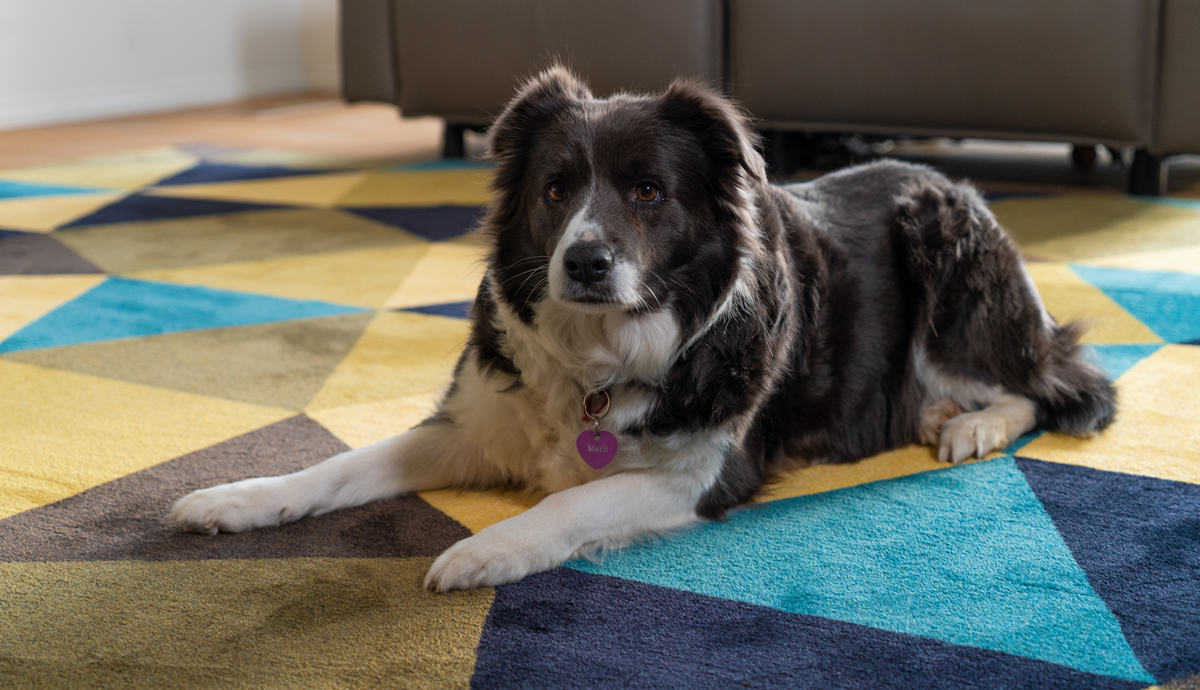 Gallery - Rug Creations Australia